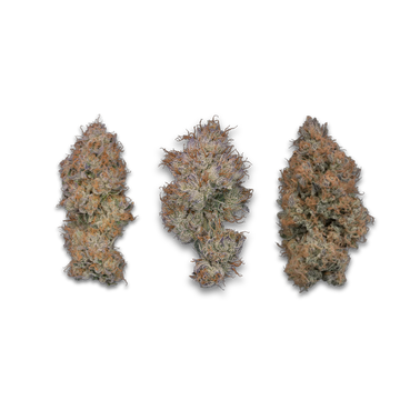 Hybrid THCA Flower | Balanced, High-Potency Hemp Buds | The Green Leaf ...